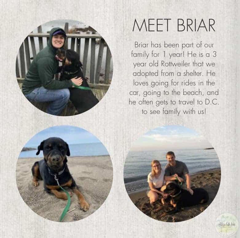 Creating A Profile Book: A Difficult, But Rewarding Process ...